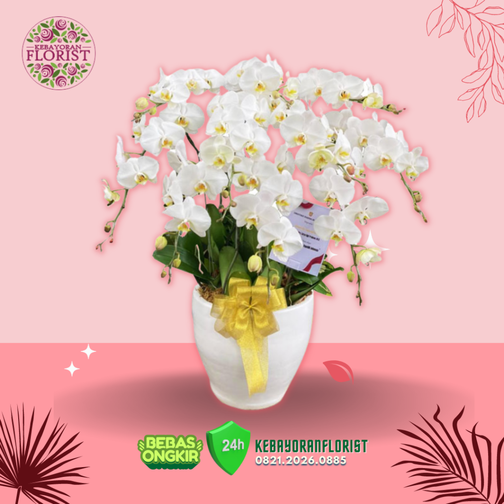 Toko Anggrek - Beli Anggrek - Toko Karangan Bunga Papan dan Rangkaian ...